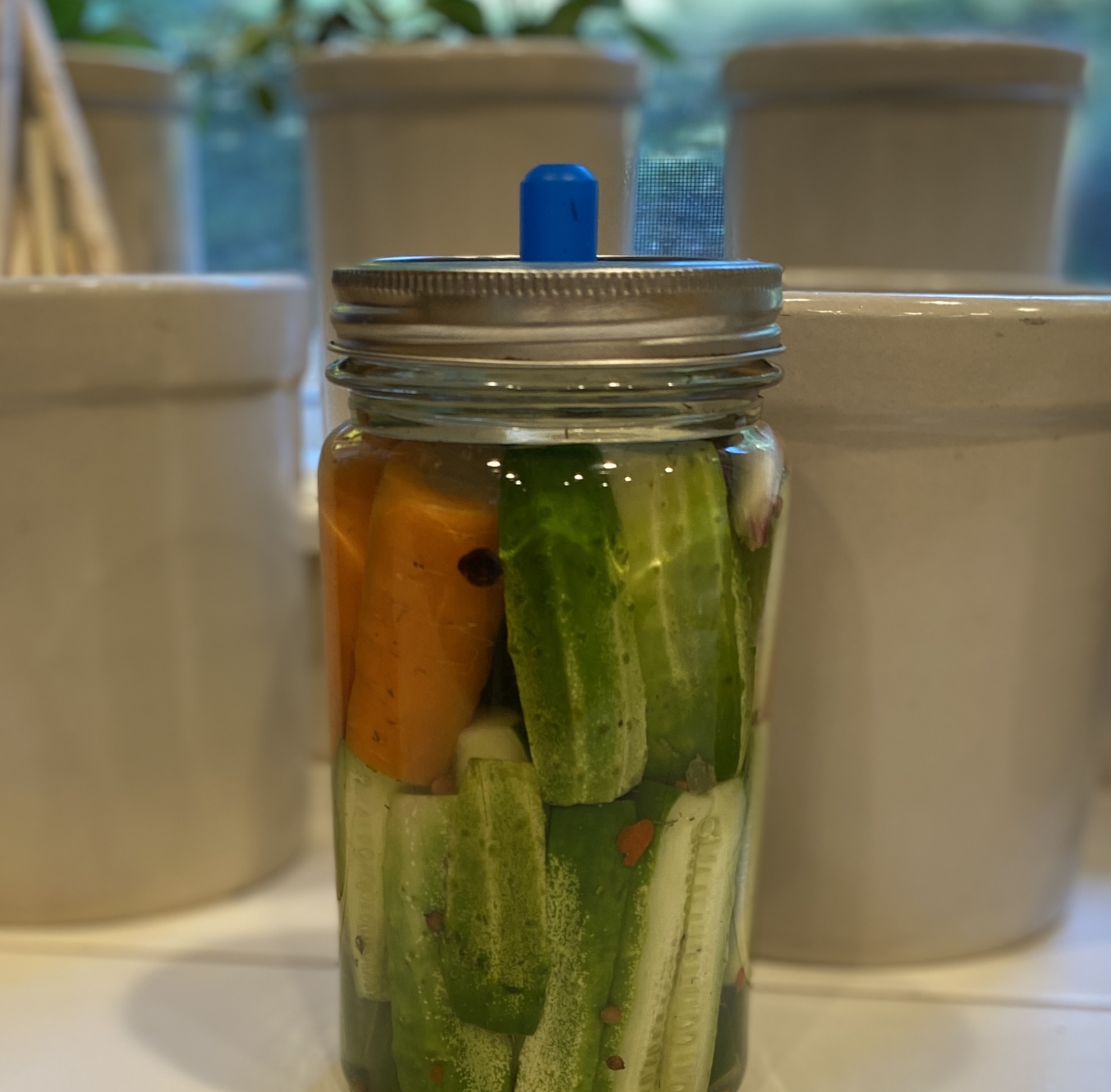 Putting Up …. Fermented Cucumber Pickles – More from Beavercreek ...